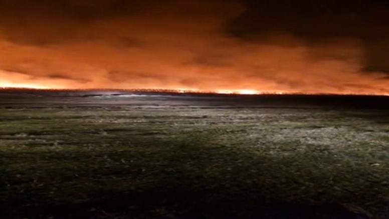 Incendiu puternic la stuf și vegetație uscată într-o zonă mlăștinoasă ...