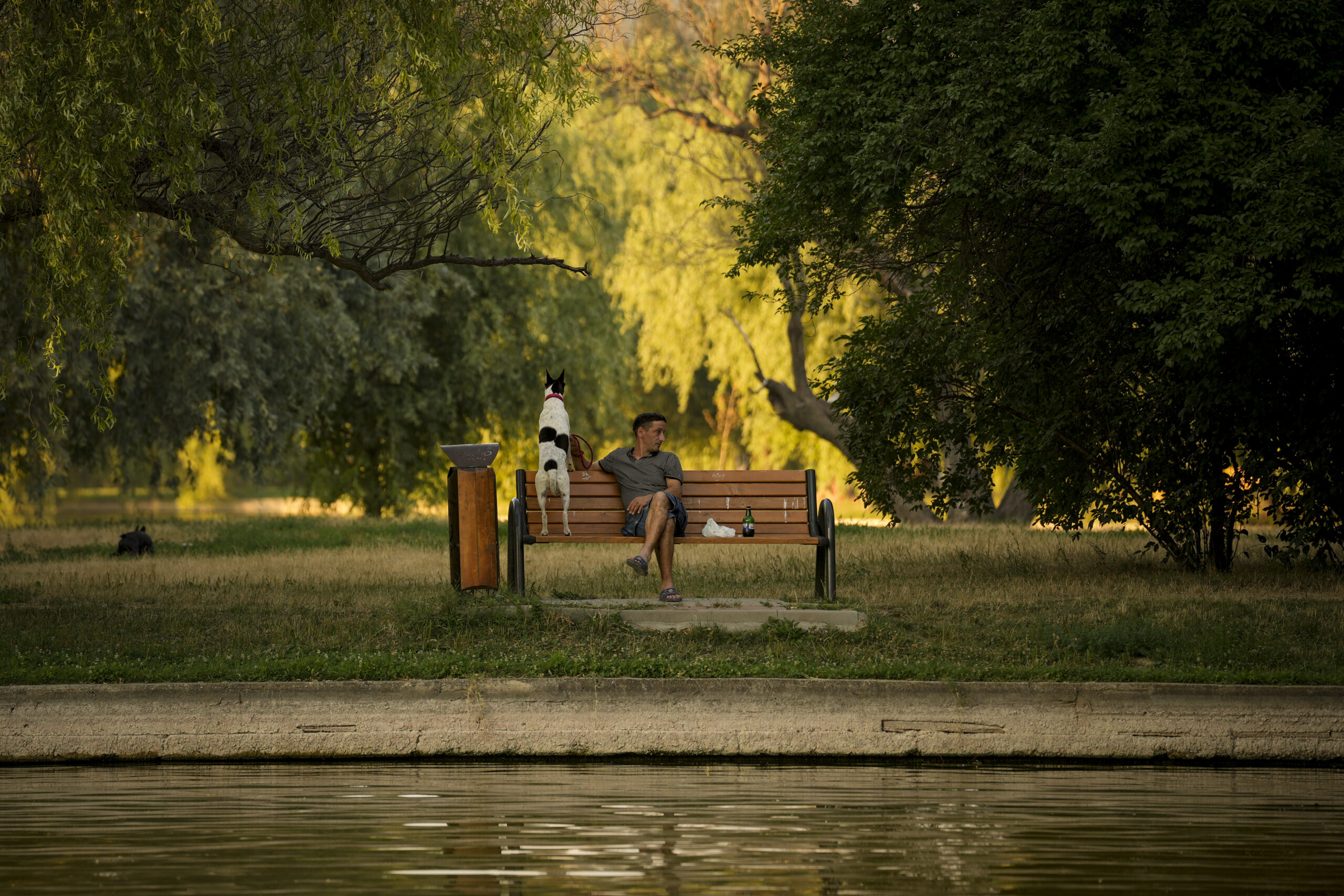 Avertizare meteo: Cod galben de caniculă în zece județe din sudul țării