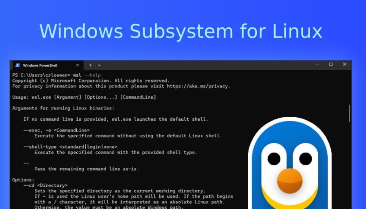 Microsoft: Codul sursă al platformei care permite rularea Linux direct ...