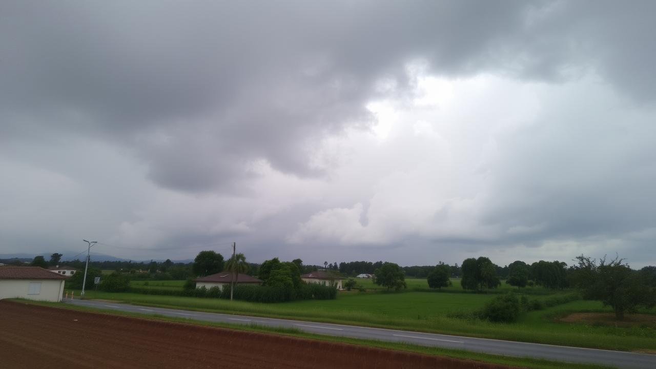 Meteo ANM: Cod portocaliu de ploi în 9 județe