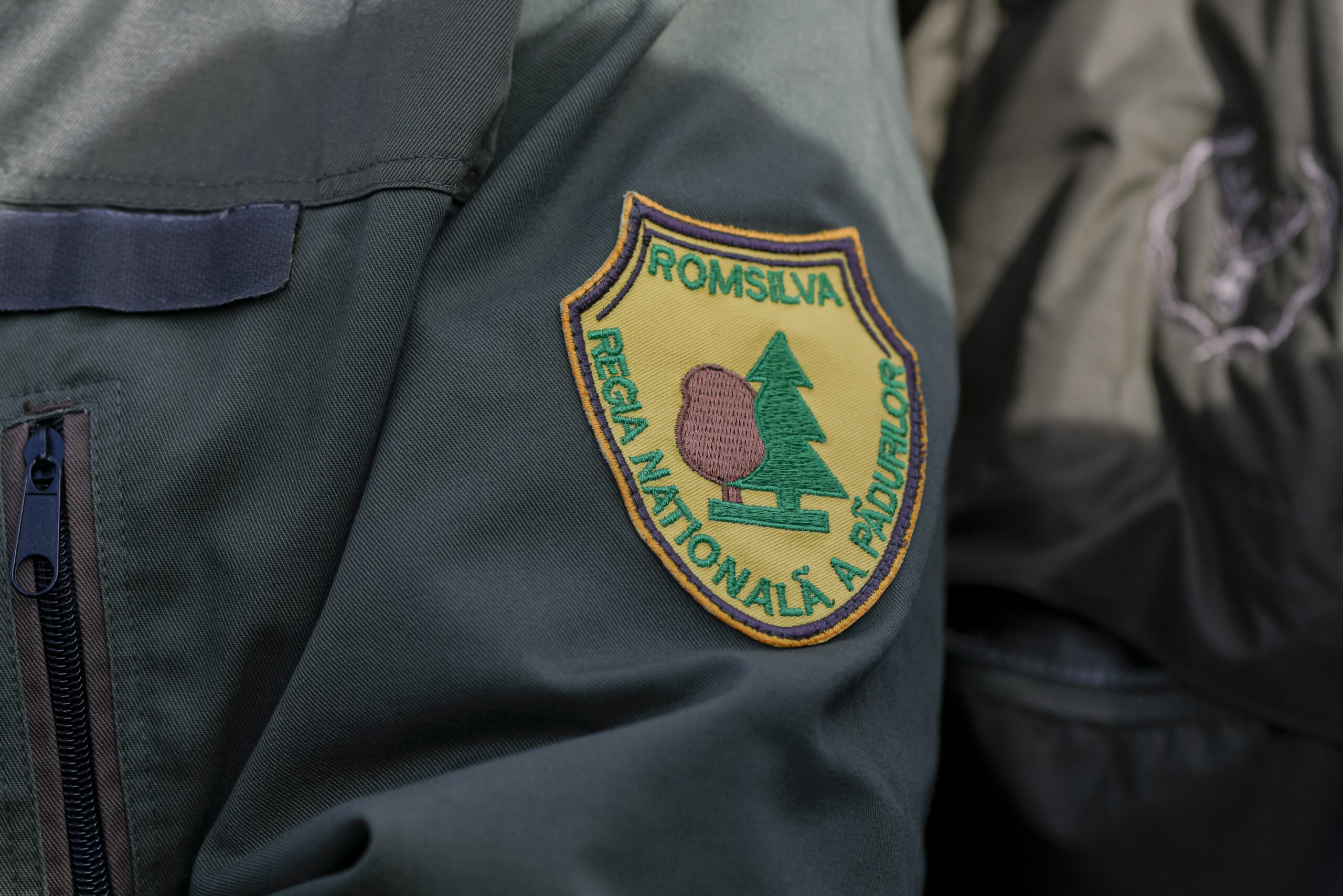 Guvernul a adoptat proiectul care vizează modificări în Codul Silvic pentru a prelua controlul ...