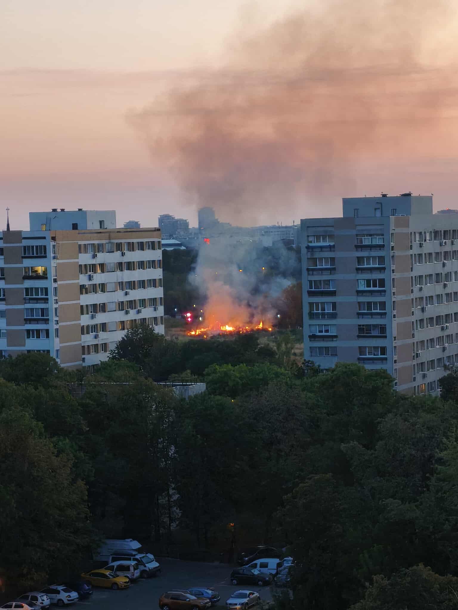 Un nou incendiu în zona retrocedată a Parcului IOR din Capitală ...