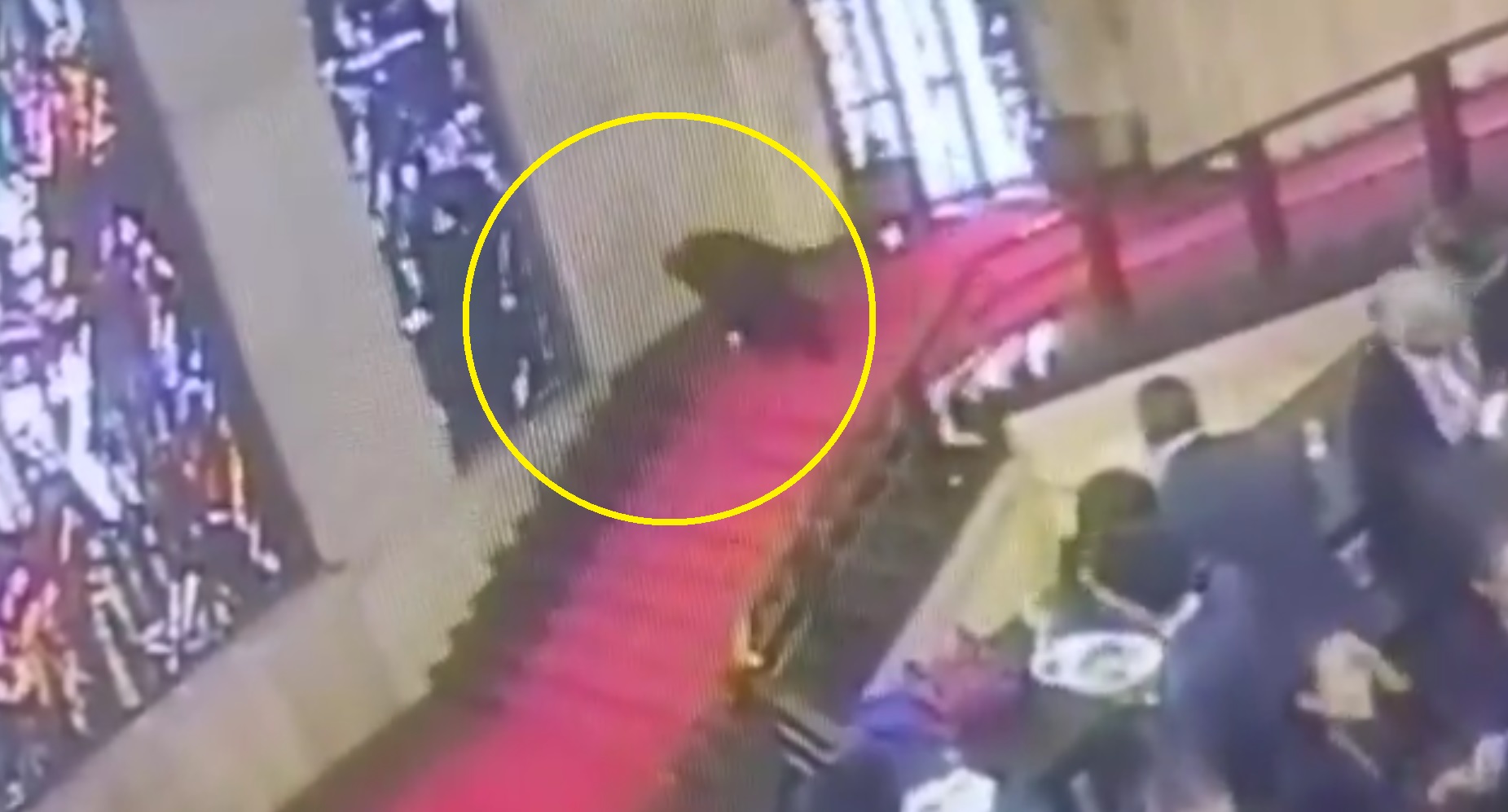 Vitraliu istoric distrus: Un politician italian provoacă o pagubă de 40 ...