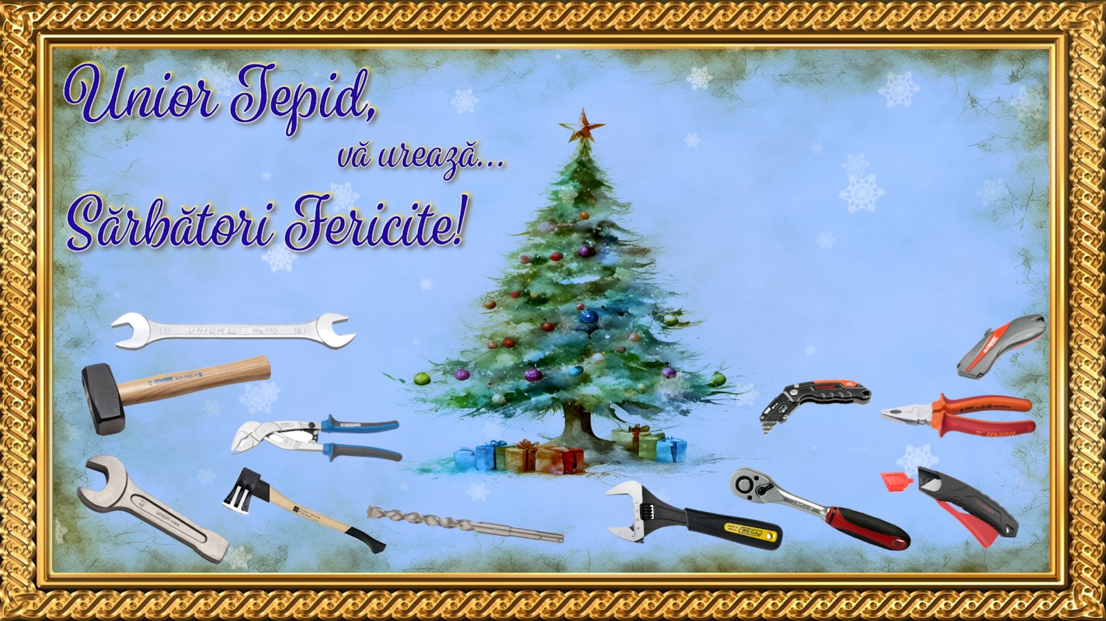 Unior Tepid: Performante remarcabile în anul 2025, mulțumiri ...