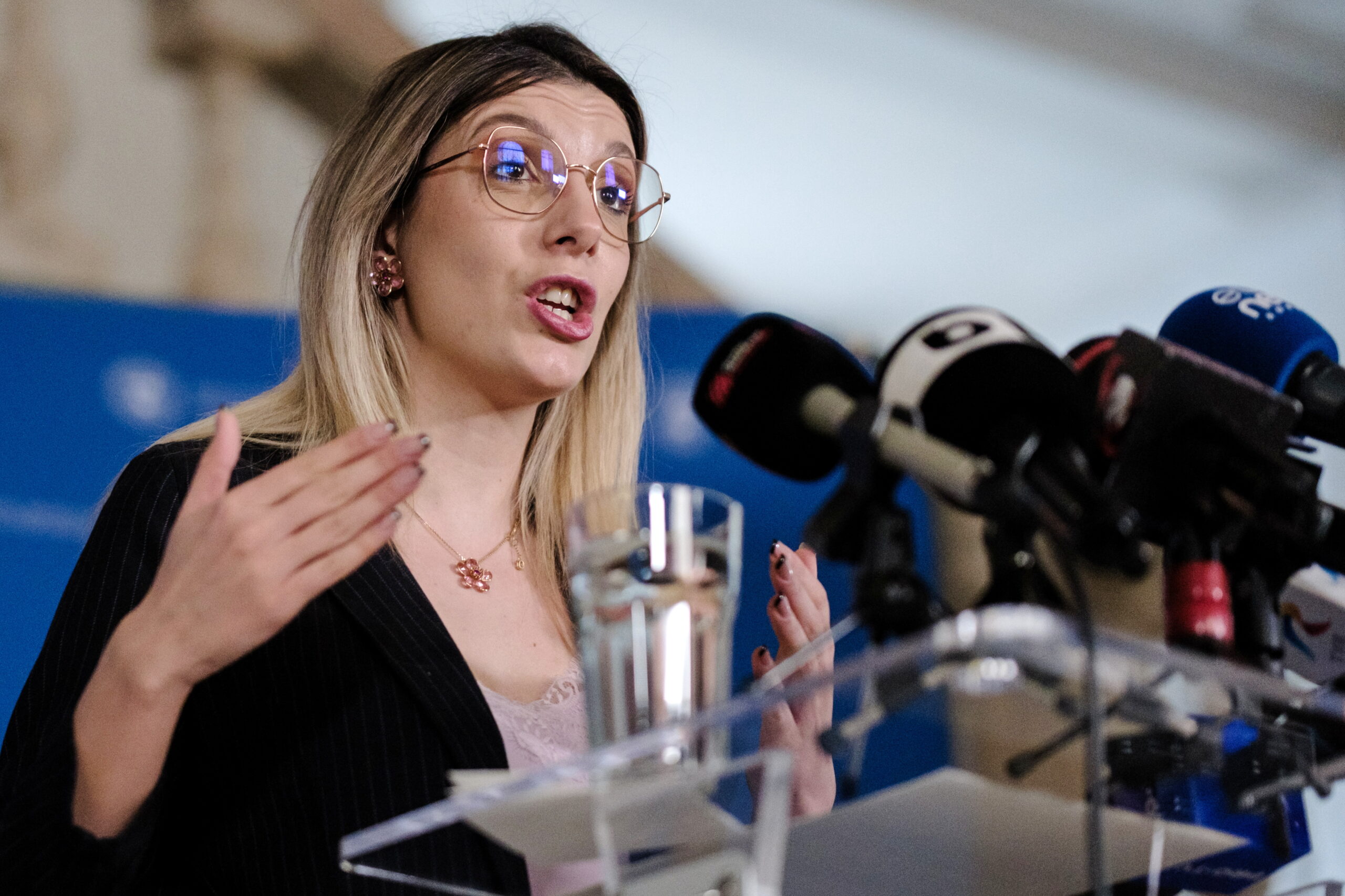 Diana Buzoianu critică numirea noului director general al Romsilva ...