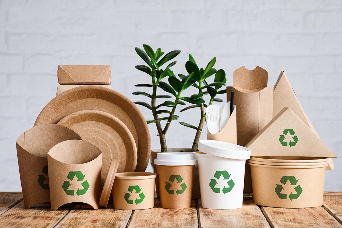 Farfurii de unică folosinţă, biodegradabile, de vânzare online ...