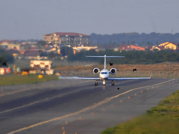 Berceanu propune construcţia unui aeroport la Alexeni, Ialomiţa, care ...