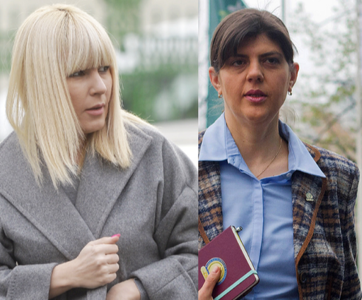 Elena Udrea către Laura Codruţa Kovesi: Bun venit în clubul penalilor ...