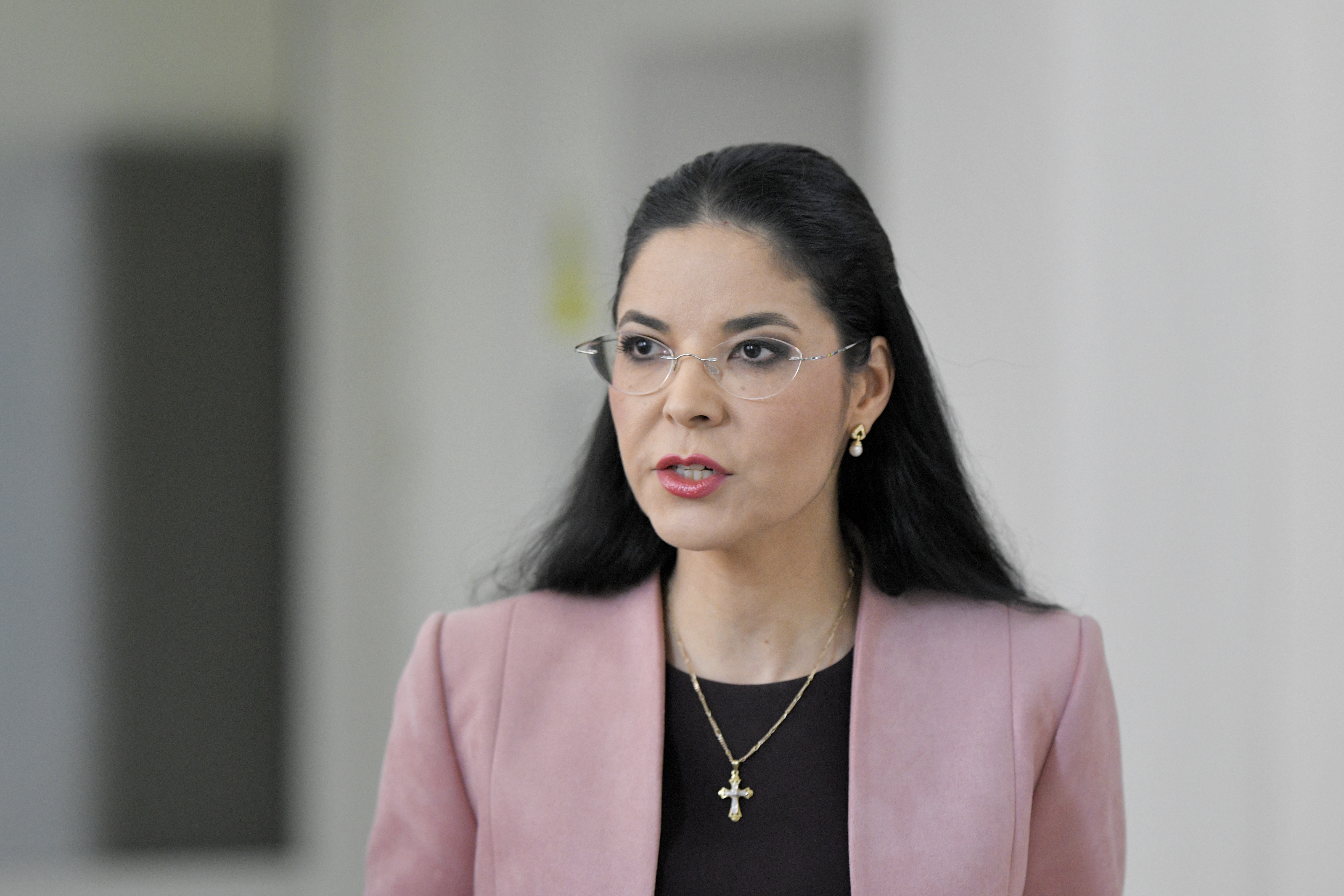 Ana Birchall anunţă că Grupul de lucru interministerial nu susţine ...