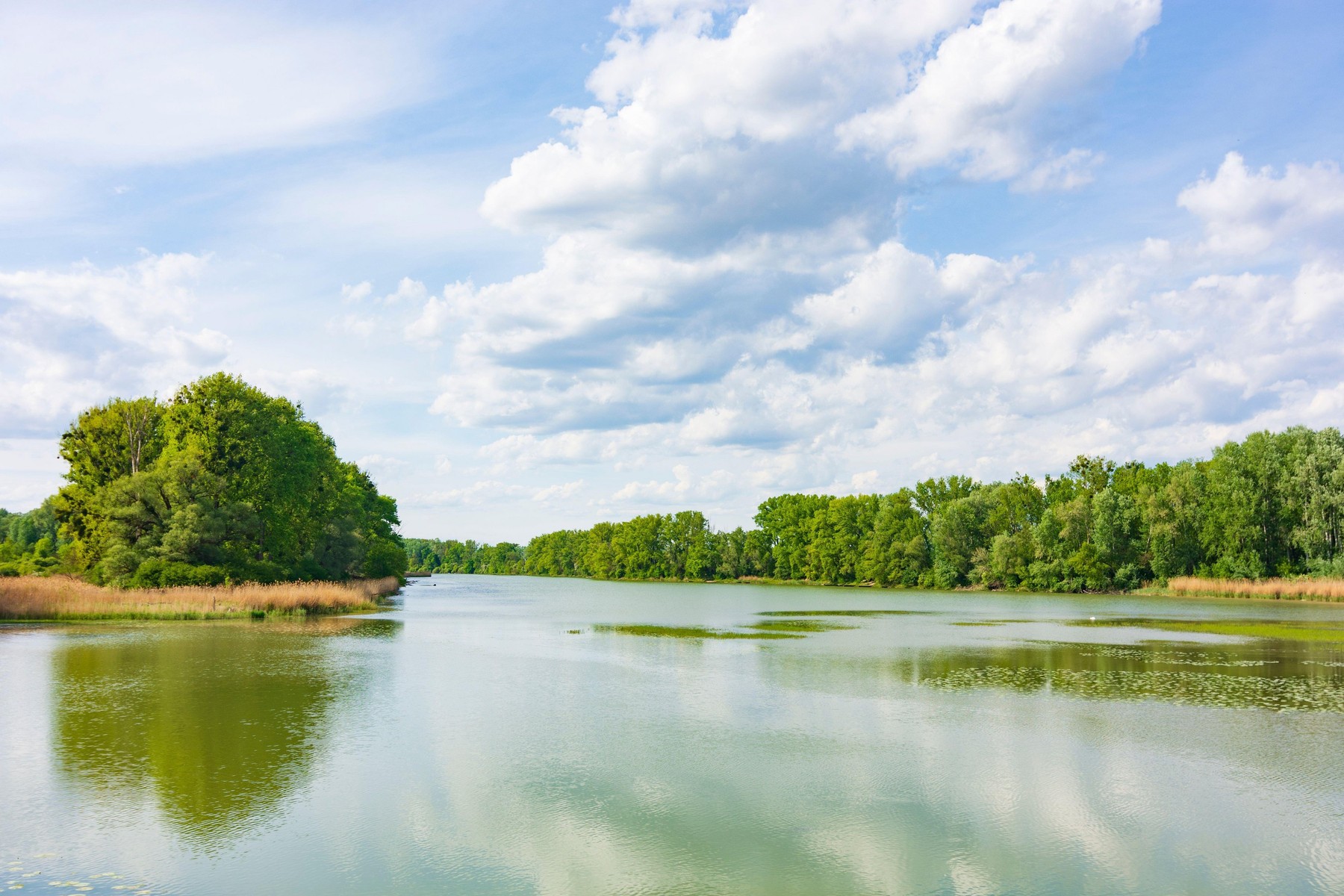 Debitul Dunării a ajuns la cel mai mic nivel din ultimii 30 de ani ...