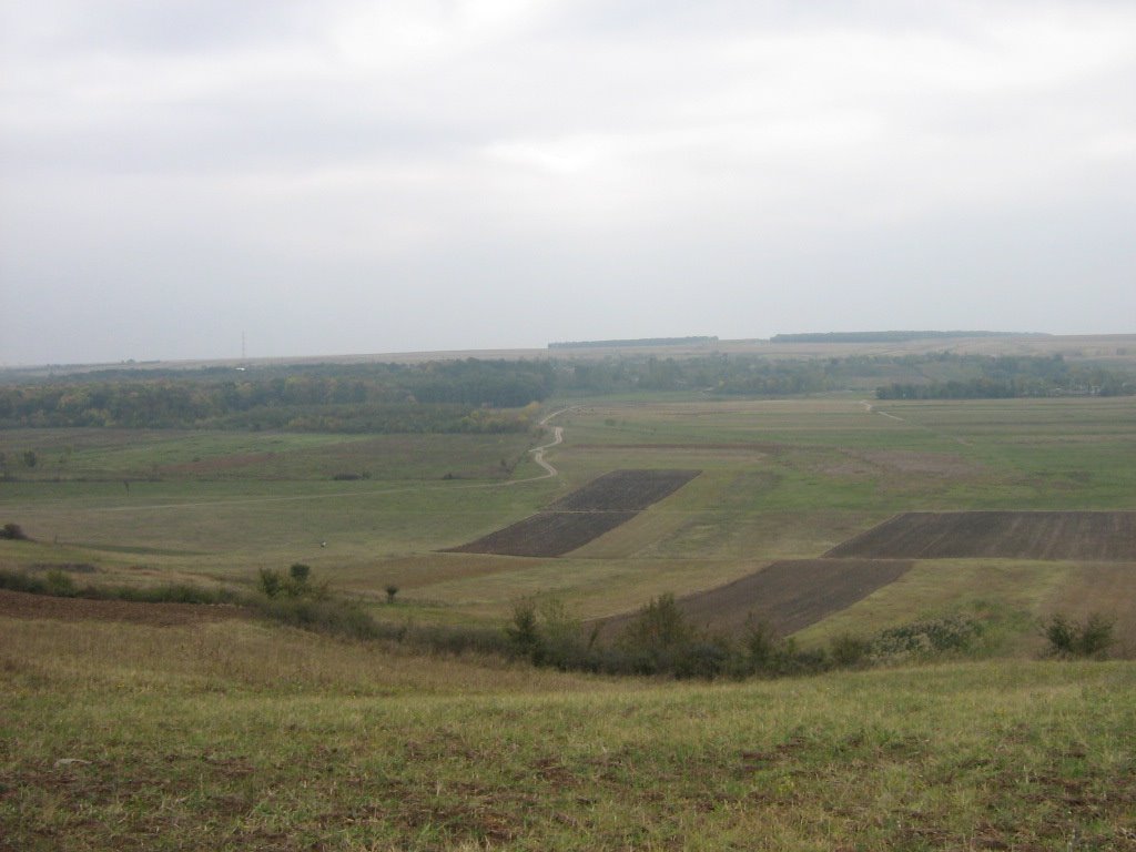 Se pun bazele brandulului „Dealul Muierii”, cel mai lung deal din România