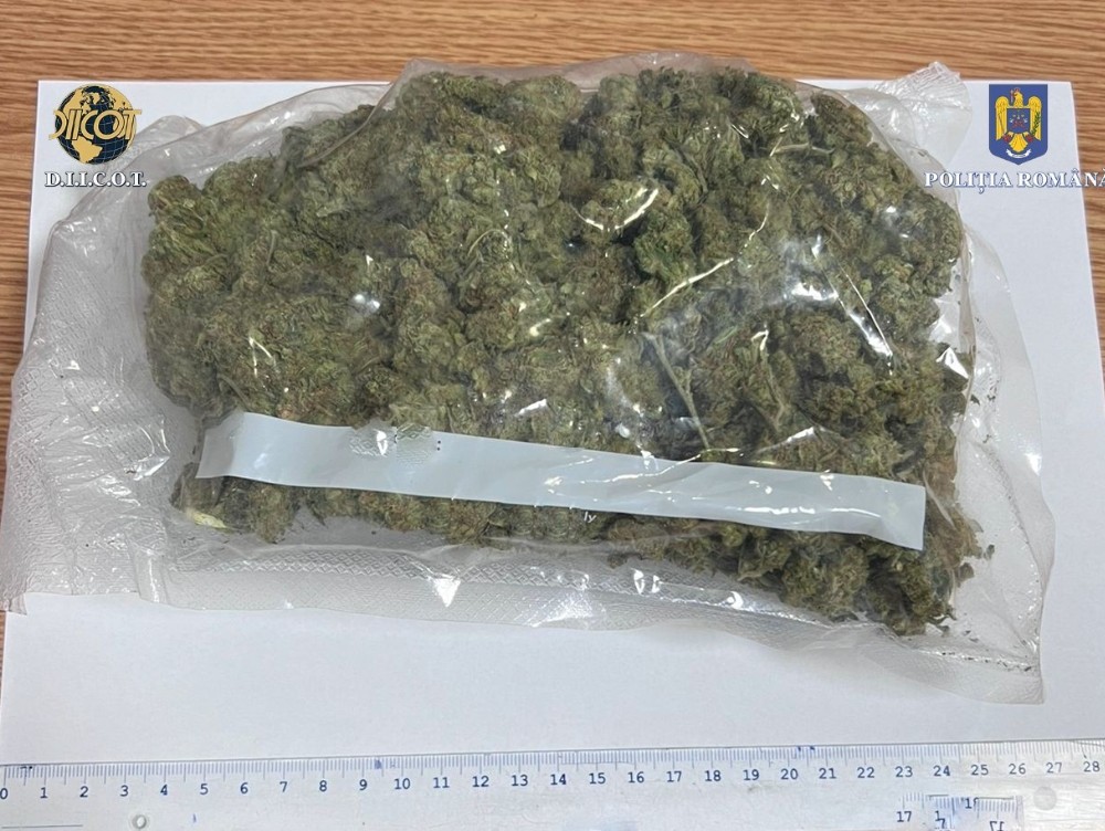 Unul dintre liderii celei mai mari reţele de distribuţie de cannabis din zona Moldovei a fost prins