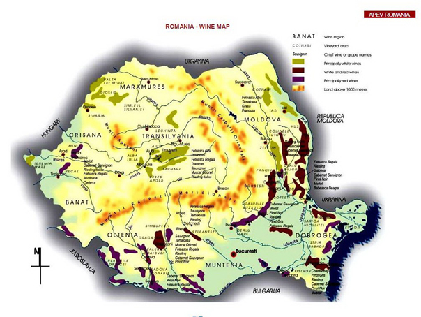 Principalele podgorii şi soiuri de struguri: Harta vinului românesc