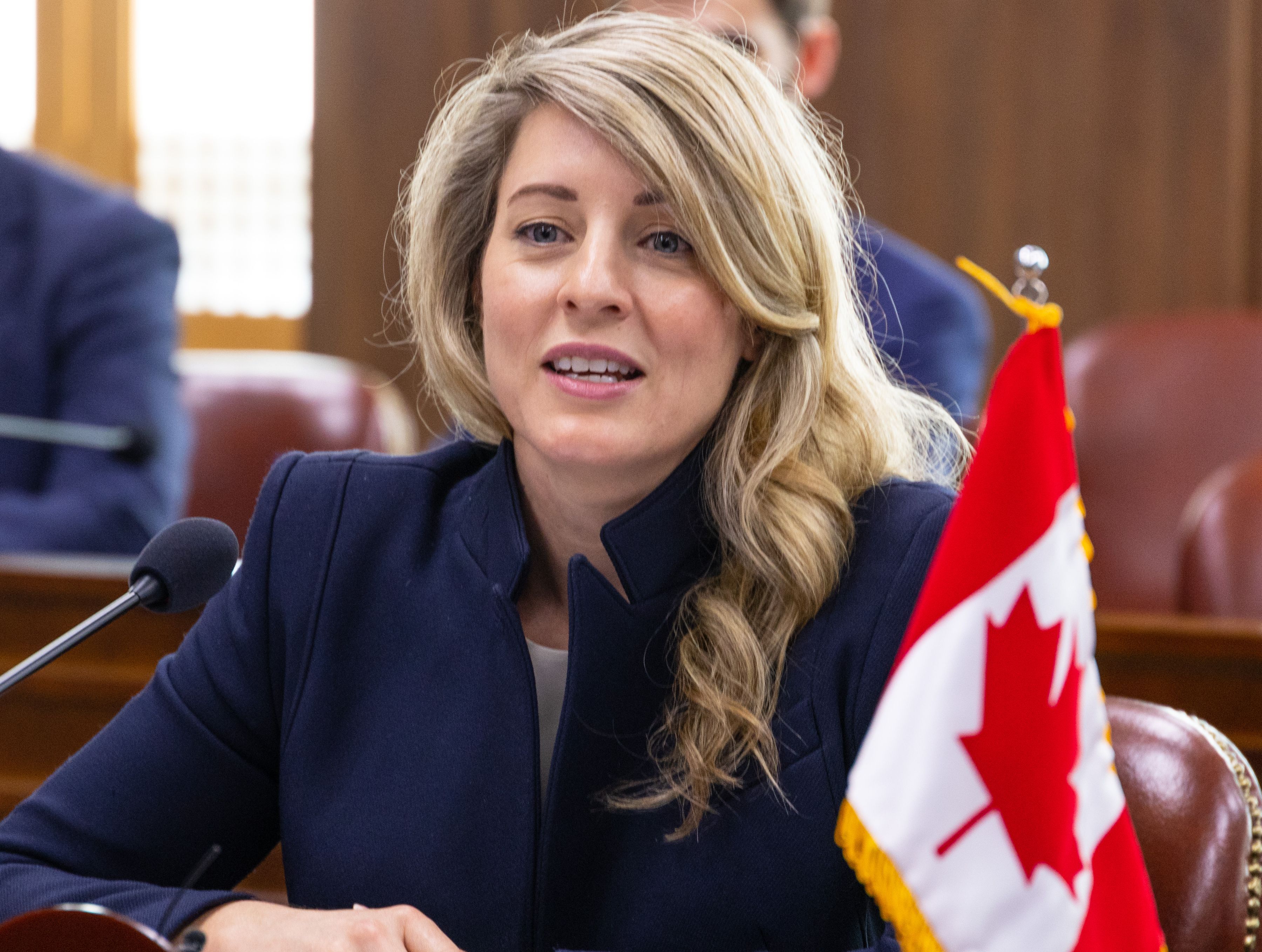 Canada va coordona ajutorul pentru Haiti din Republica Dominicană ...