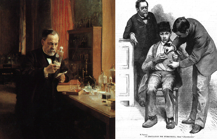 6 iulie 1885 - Louis Pasteur salvează omenirea de rabie cu ajutorul ...