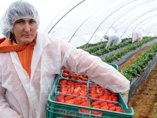 Spania le oferă din ce în ce mai puţine oportunităţi de lucru ...