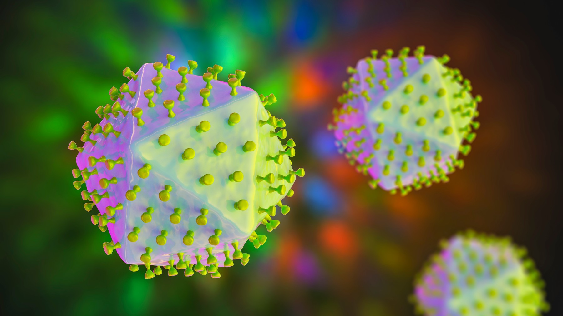 SADS-CoV: Un nou coronavirus, transmis de la porc la om