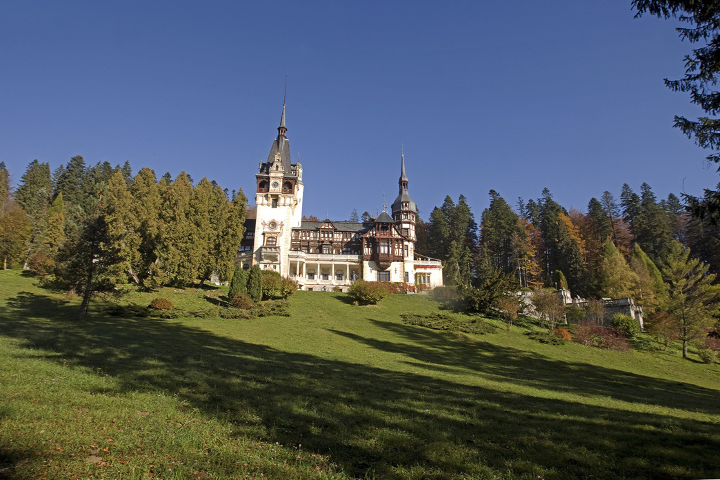 Fostul director al Casei Regale a României, Dan Badic, a murit