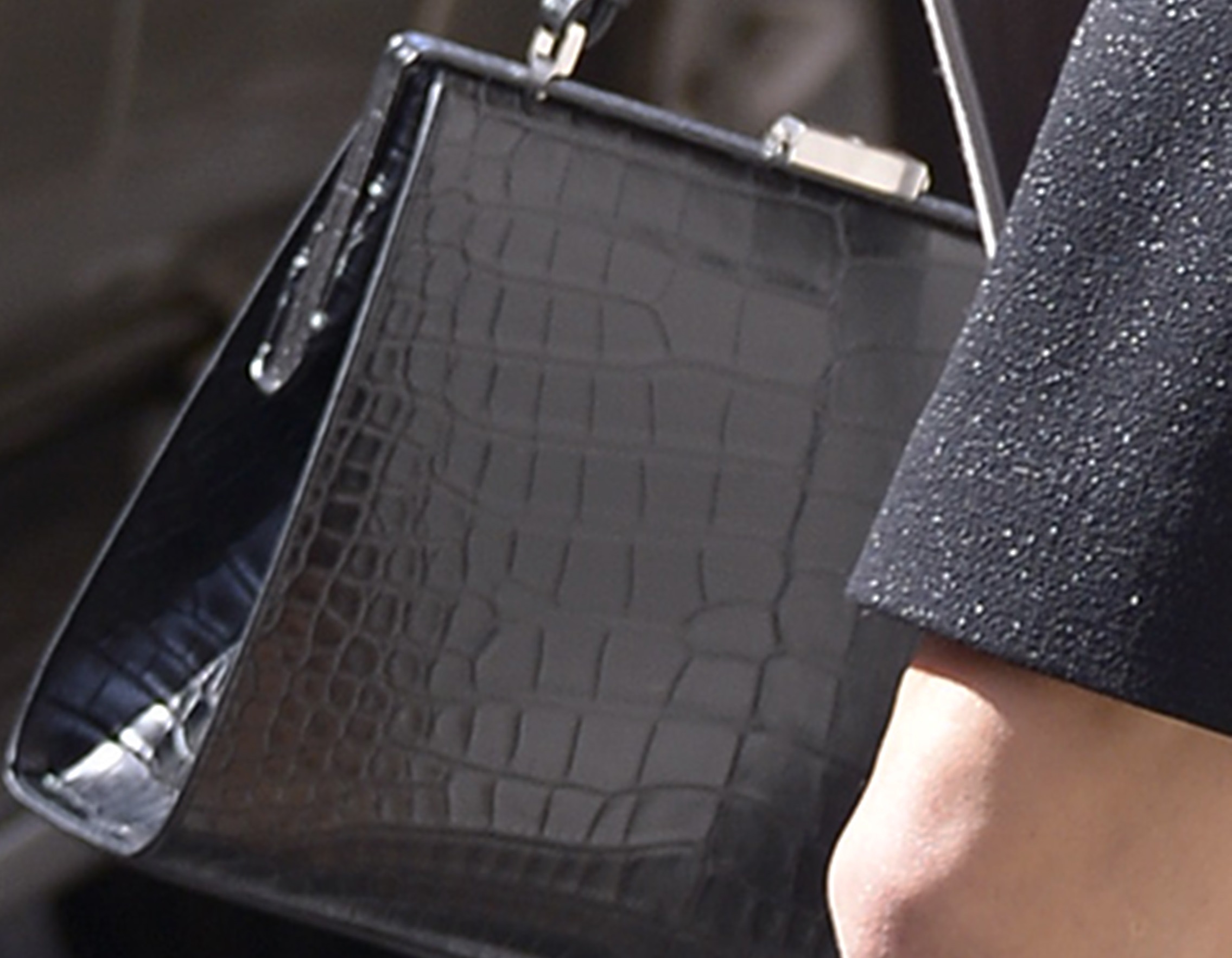 Geanta din piele exotică vine la ”pachet” cu acte şi licenţe de import ...