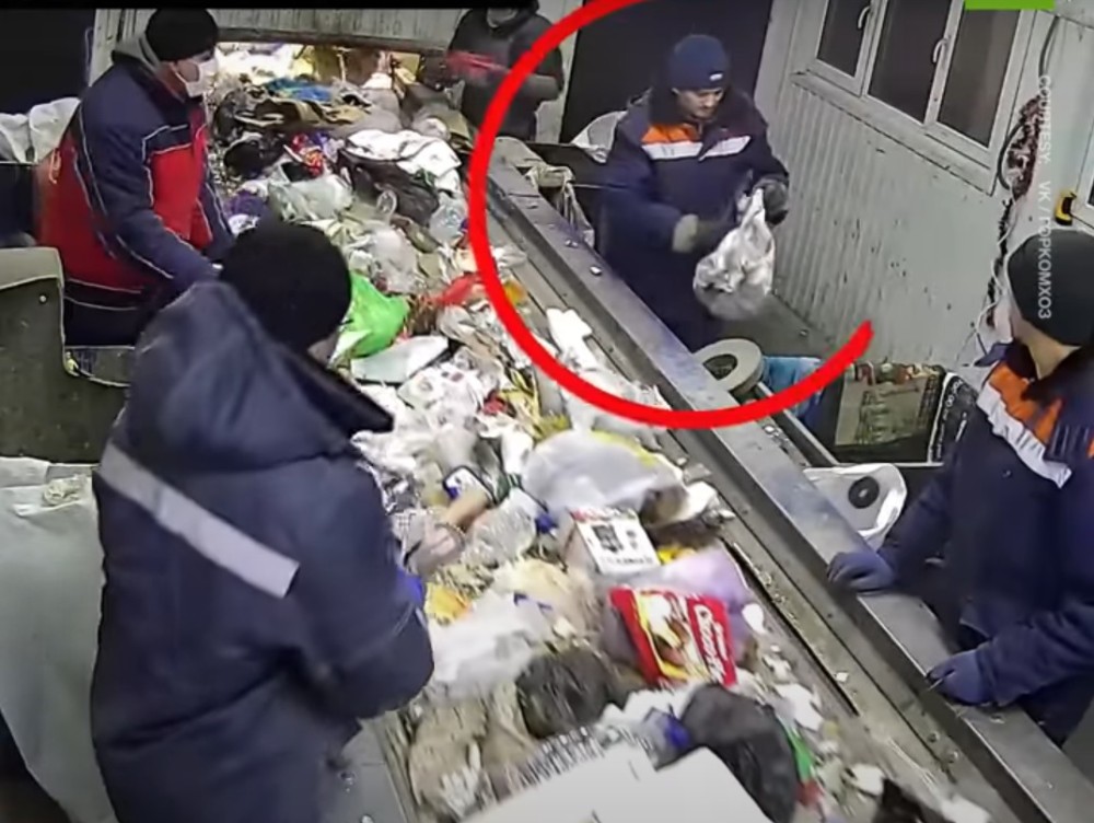 Noroc chior pentru o pisică abandonată şi aruncată într-un sac la gunoi ...