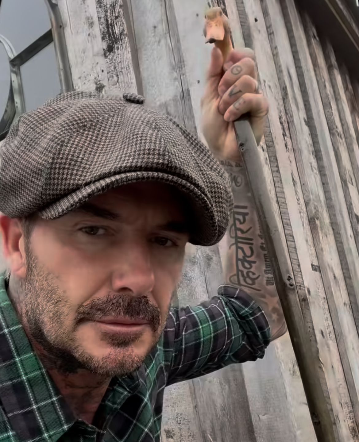 David Beckham are hobby-uri noi: De la motociclete şi camping la ...