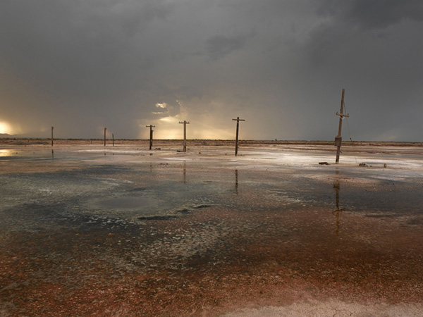 David Zimmerman, câştigătorul premiului Sony World Photography