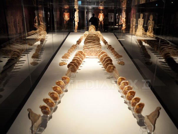 Cum va arăta omul viitorului: Ar putea avea schelet flexibil, tentacule ...