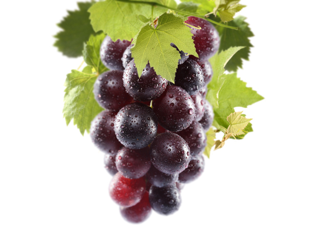 De ce să mănânci STRUGURI: Ce beneficii au "superfructele" toamnei - FOTO