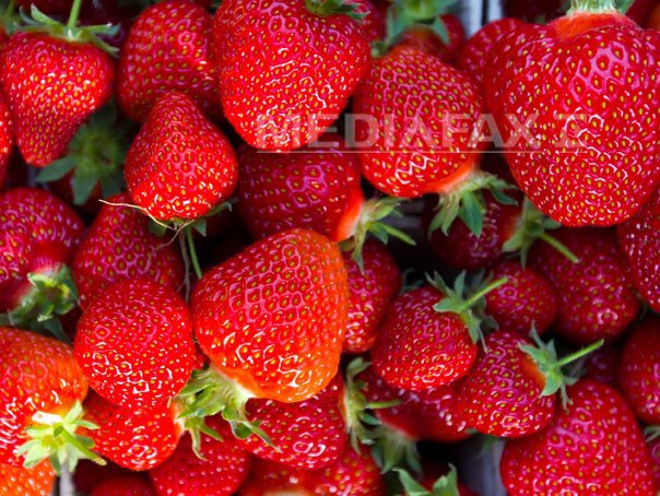 De ce să consumi căpşuni. 10 proprietăţi benefice ale acestora pentru ...