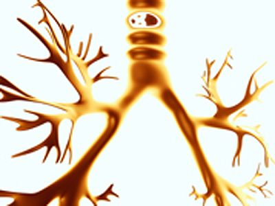 Prima grefă de trahee din lume, realizată în Spania