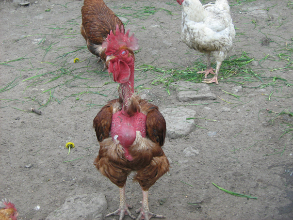 O ţară străină procedează precum România în comunism. Populaţia ...